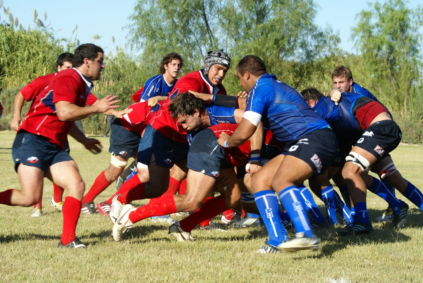 El seleccionado sanjuanino de rugby enfrentará a Chile el próximo ...